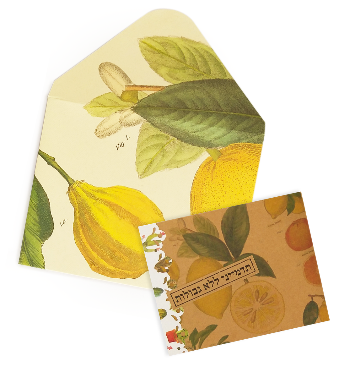 Fruit card – Pineapplearti